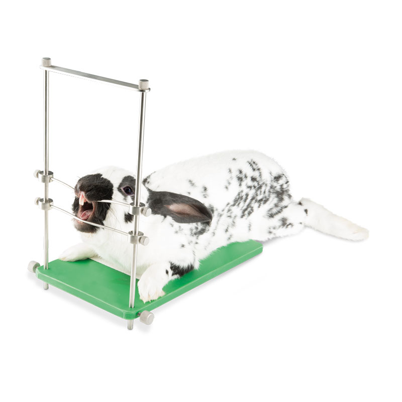 TC Rodent Molar Cutter - Eickemeyer Veterinary Technology