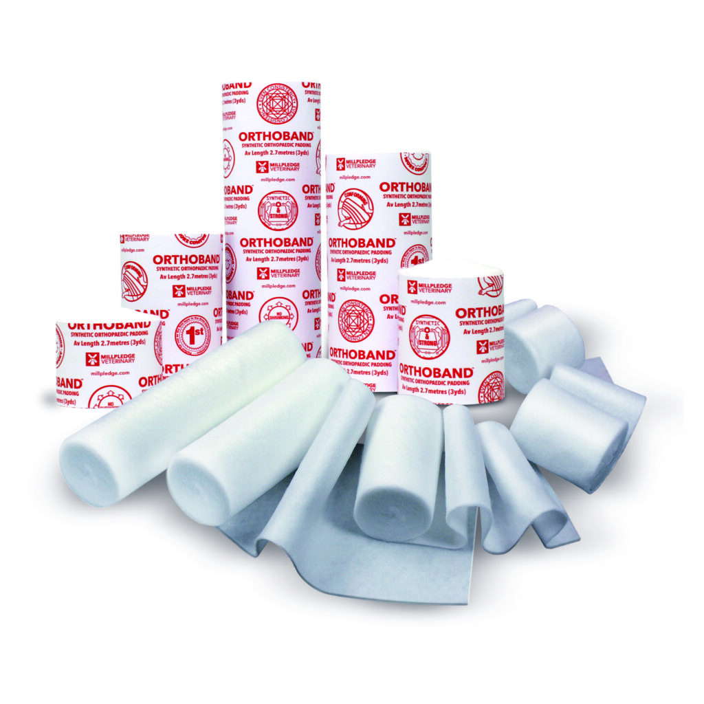 Millpledge Orthoband - Eickemeyer Veterinary Technology