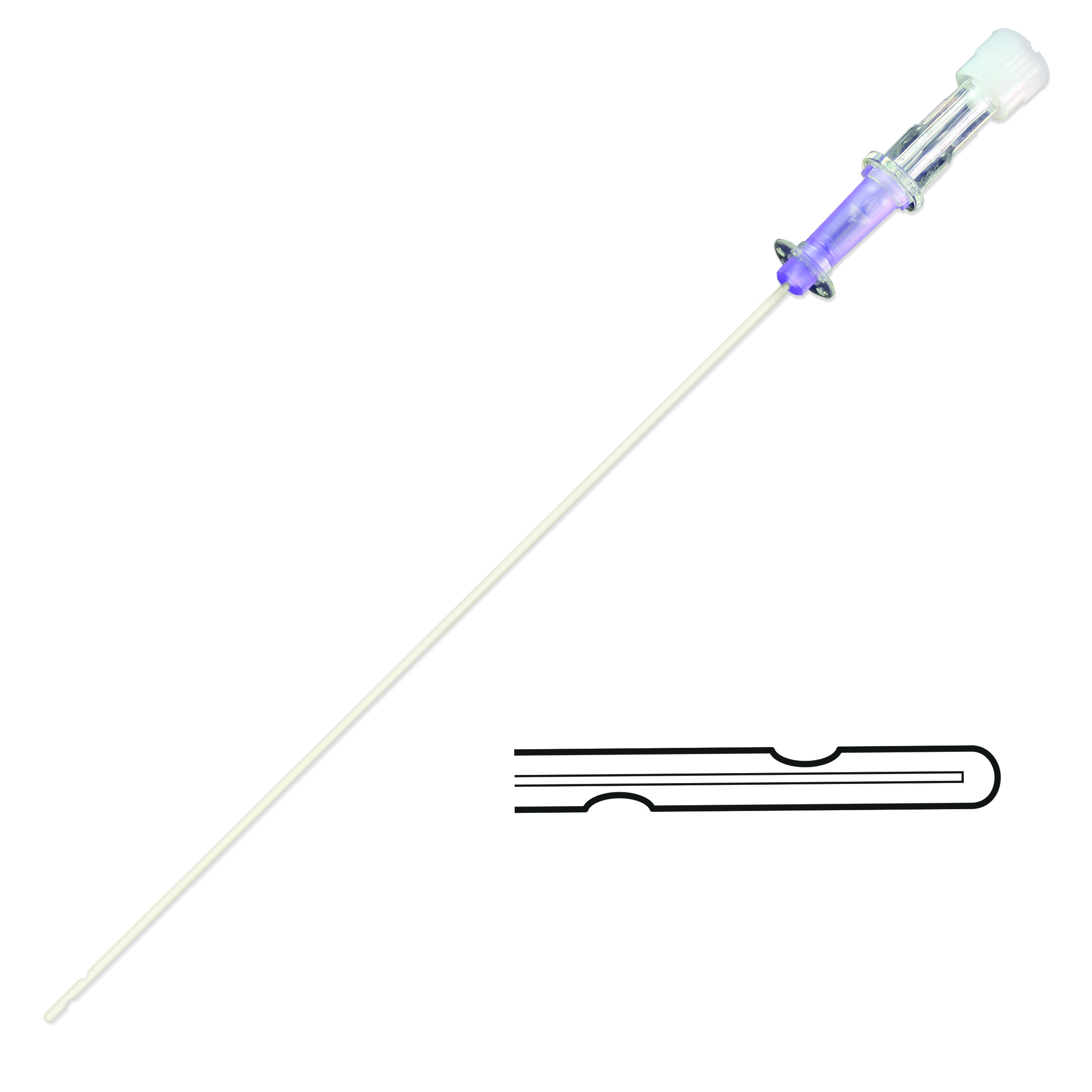 Millpledge Tom Tiddle Cat Cath - Eickemeyer Veterinary Technology